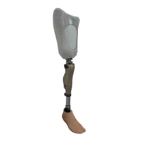 Amputation fémorale - NEUT