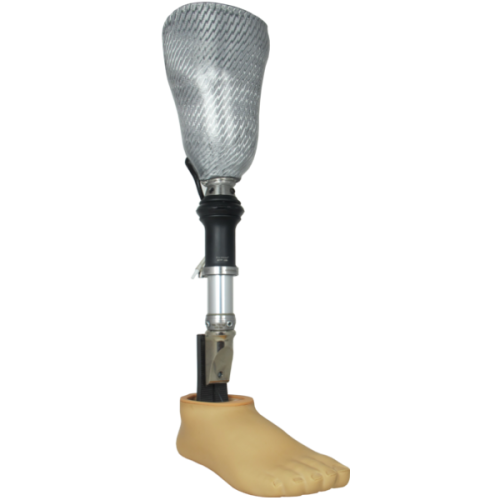 Amputation tibiale - NEUT