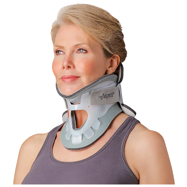 minerve adulte - Minerves - NEUT